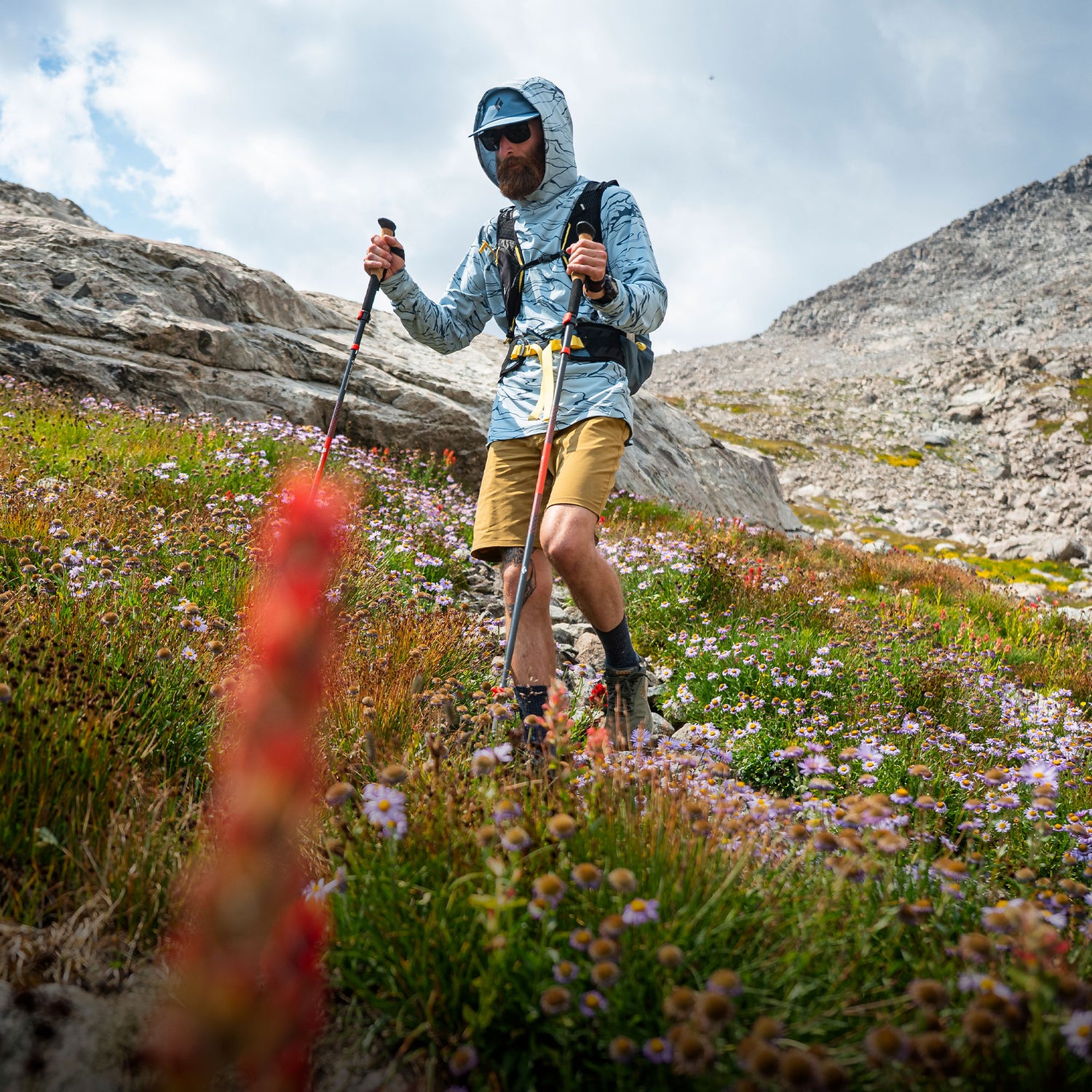 Trekking Poles, Hiking Poles & Walking Poles | Black Diamond