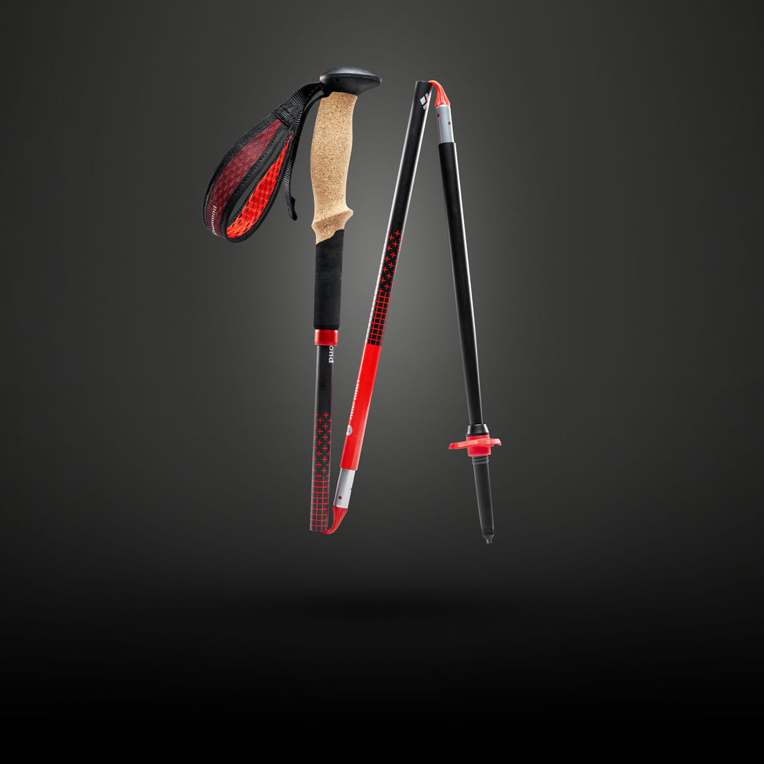 Trail Back Trekking Poles – Black Diamond