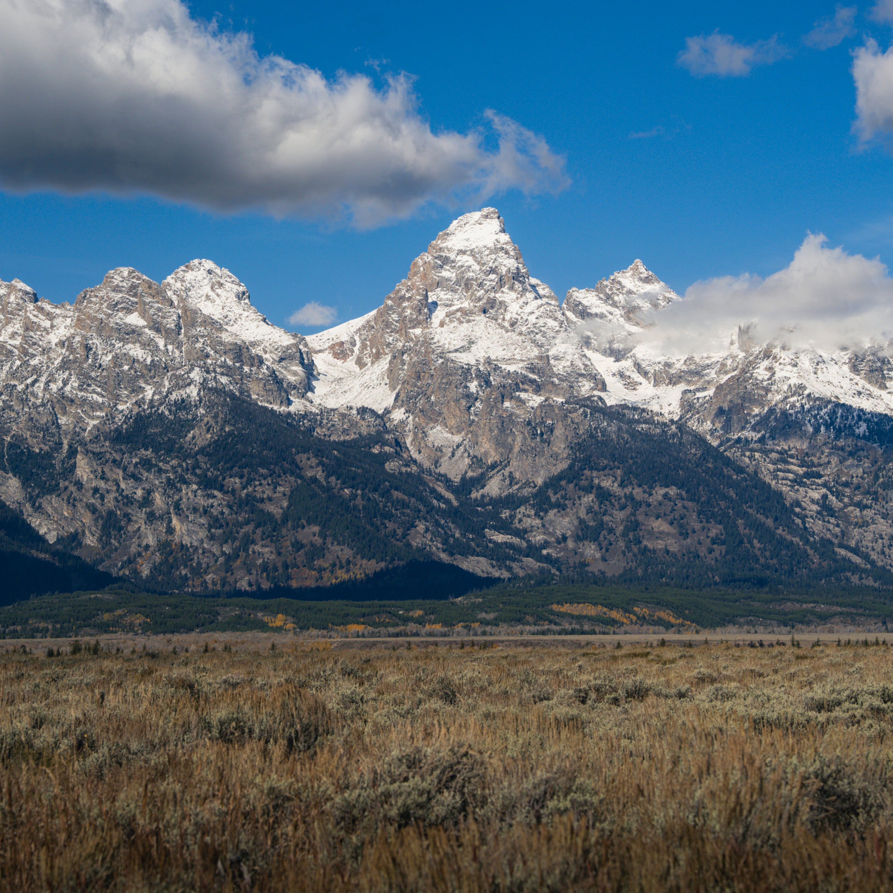 Climbing Shoes Size Chart – Black Diamond